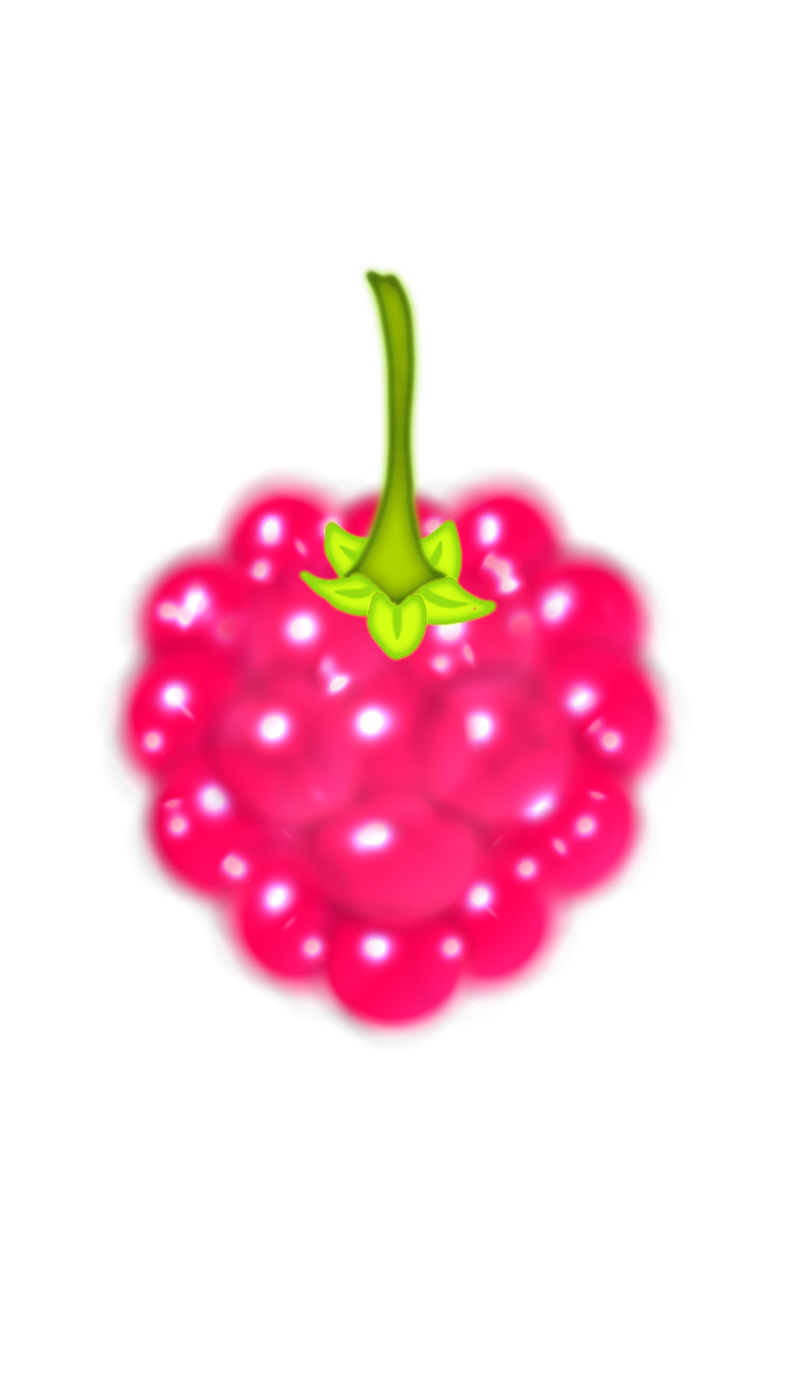 Raspberry - ibisPaint