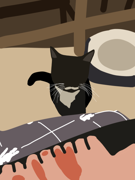 Real Cat - ibisPaint