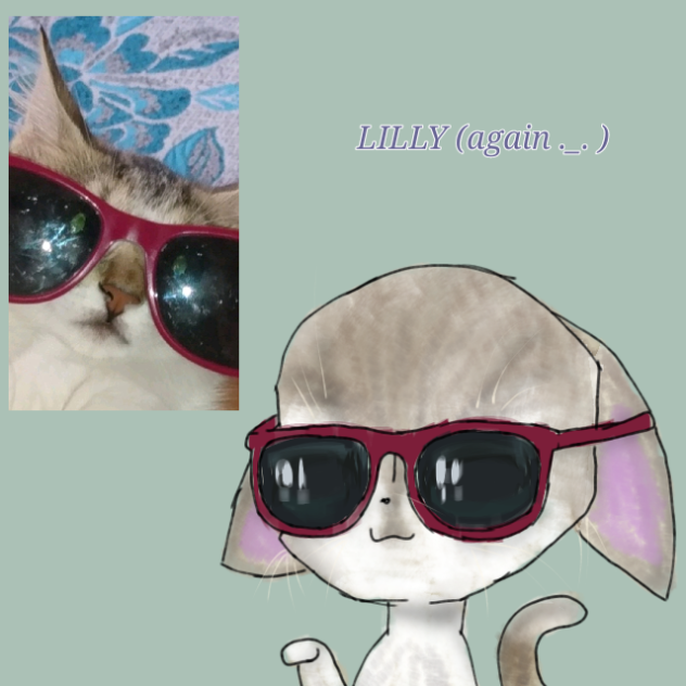 Lilly, my pet (omg) - ibisPaint