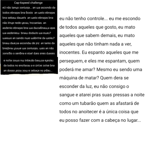 texto do catgint - ibisPaint