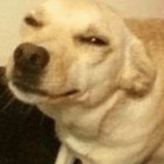 !FLASHING LIGHTS WARNING! - ibisPaint