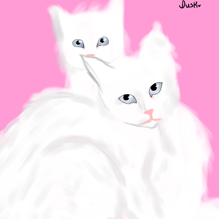 cats - ibisPaint
