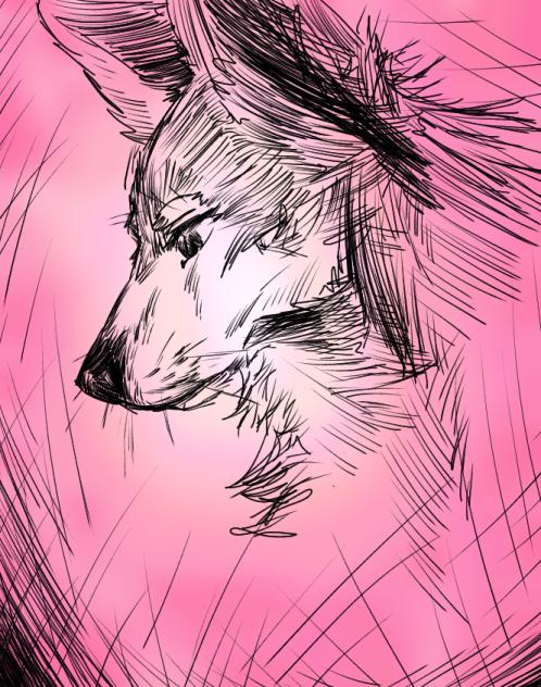 a Wolf - ibisPaint