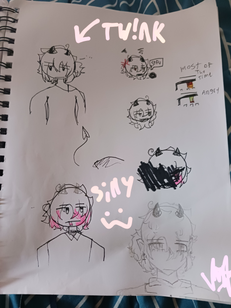 o.c. im using - ibisPaint