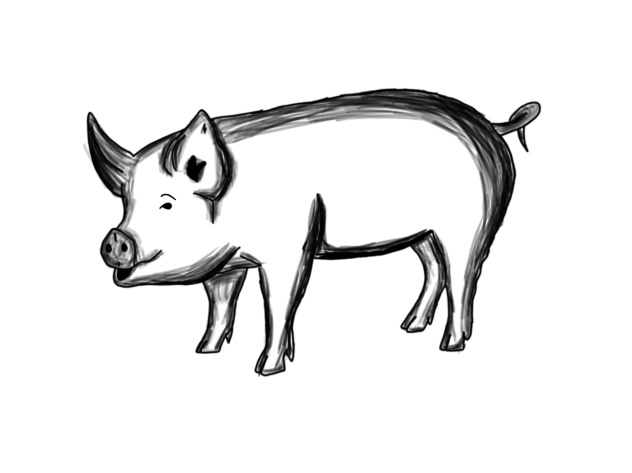 Berry the pig - ibisPaint