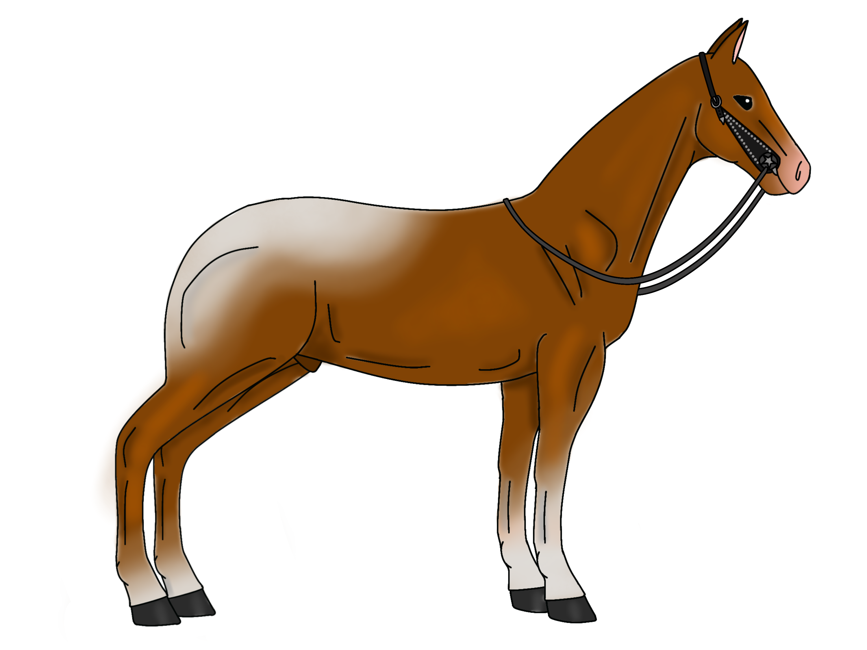 Black western bridal - ibisPaint