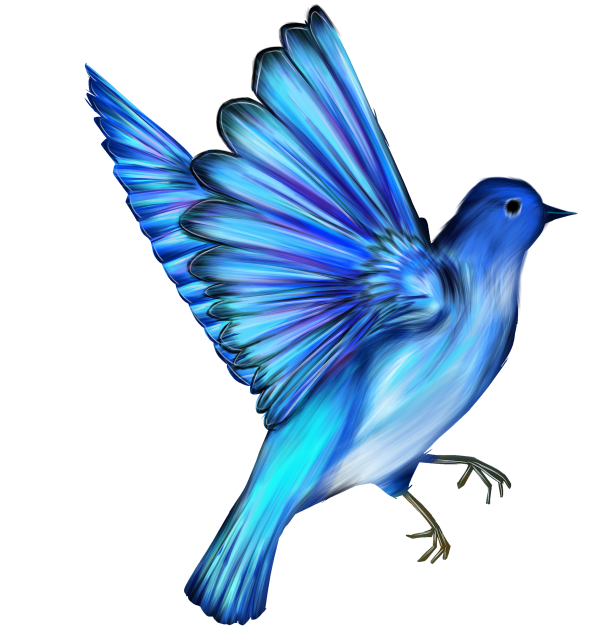 mountain bird - ibisPaint