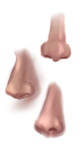 nose practice 2 - ibisPaint