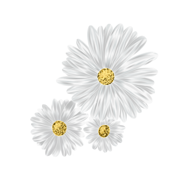 Daisy flowers 🌸 - ibisPaint