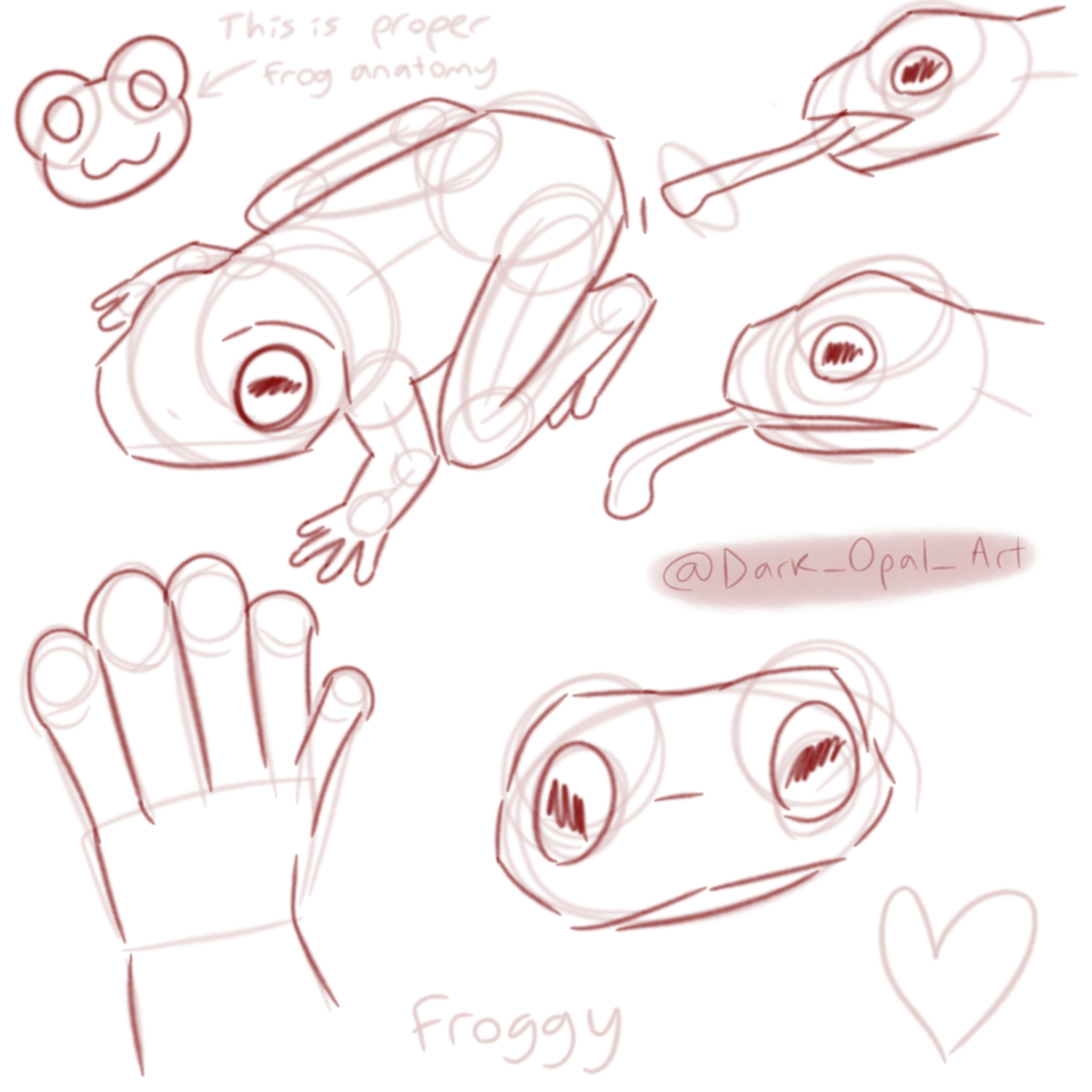 I practice frog anatomy with no ref - ibisPaint
