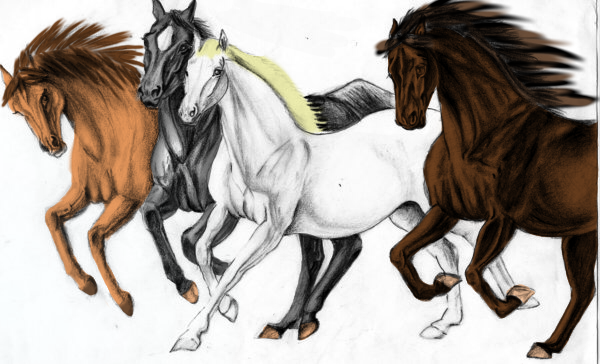 wild horses - ibisPaint