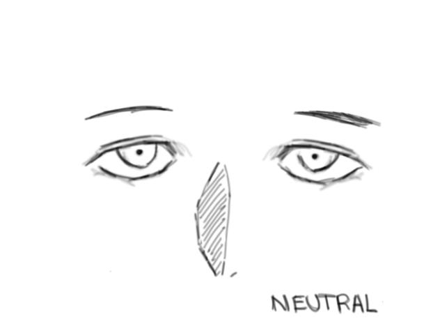 Face Expressions - ibisPaint