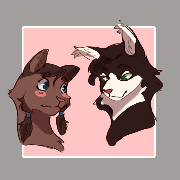 Korra and Asami as cats - ibisPaint