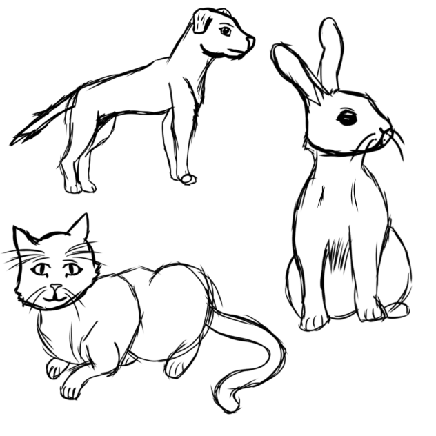 Basic animal sketches - ibisPaint