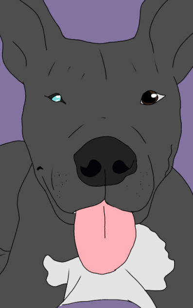 🐶 My dog, Shorty 🐶 - ibisPaint