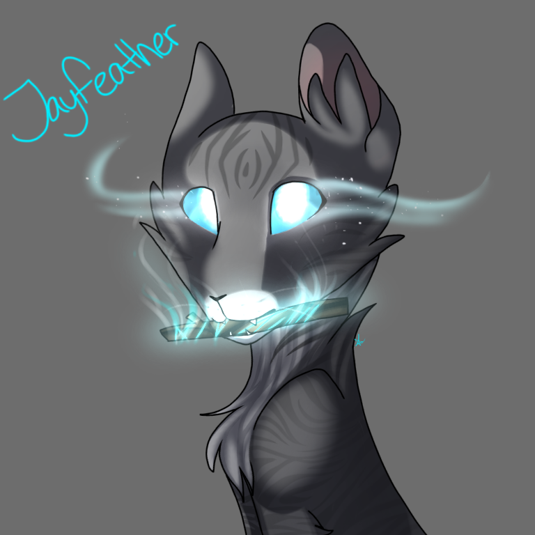 Jay's Wing - ibisPaint