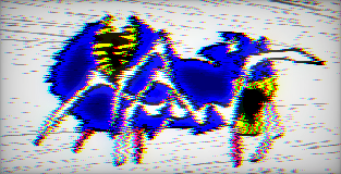 spider sonic.omt - ibisPaint