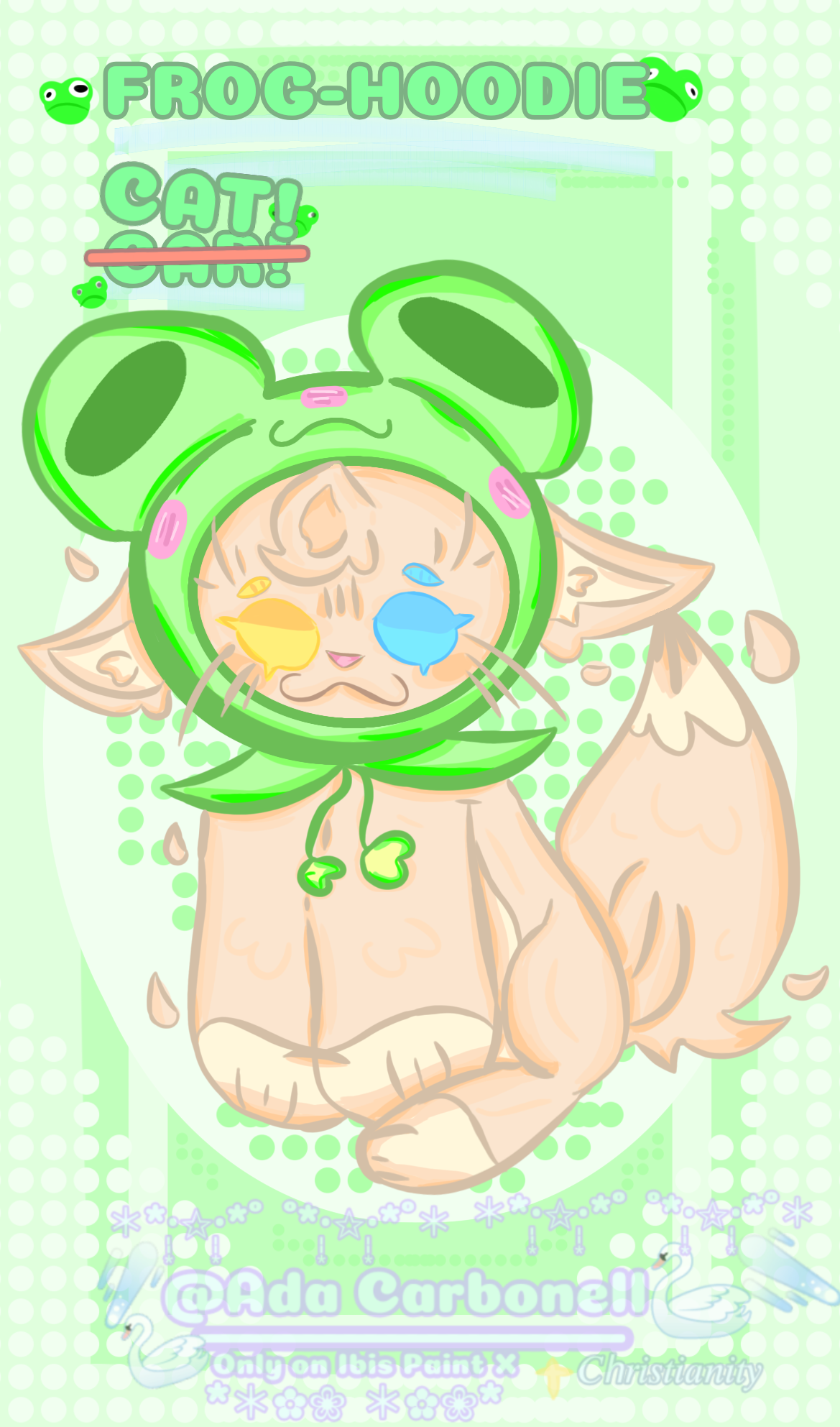 Frog-hoodie car-i mean cat - ibisPaint