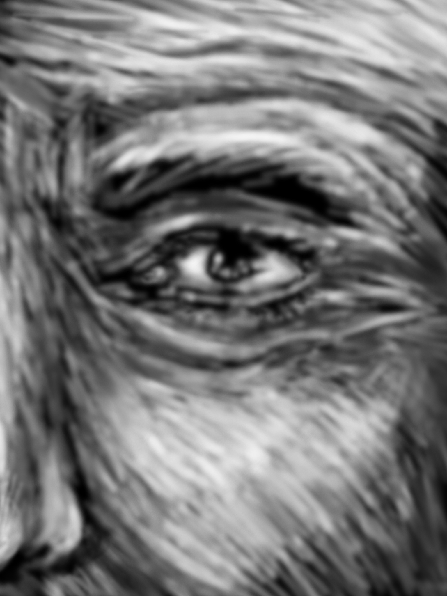 negative drawing eye (retouched) - ibisPaint