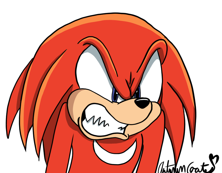 Extremely angry knuckles - ibisPaint