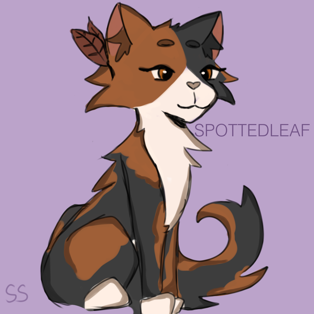 Spottedleaf- @5everMythra’s request! - ibisPaint