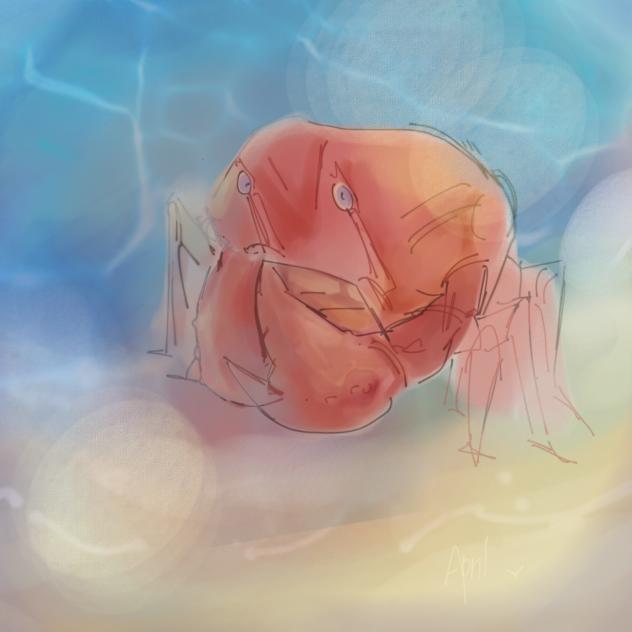 CRAB - ibisPaint