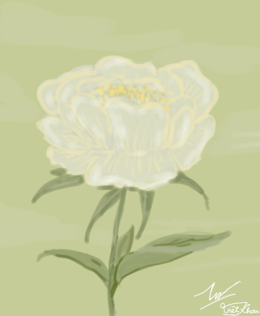 Beautiful White Flower - ibisPaint