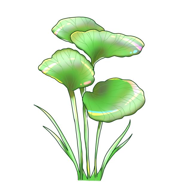 Freshwater Plant - ibisPaint