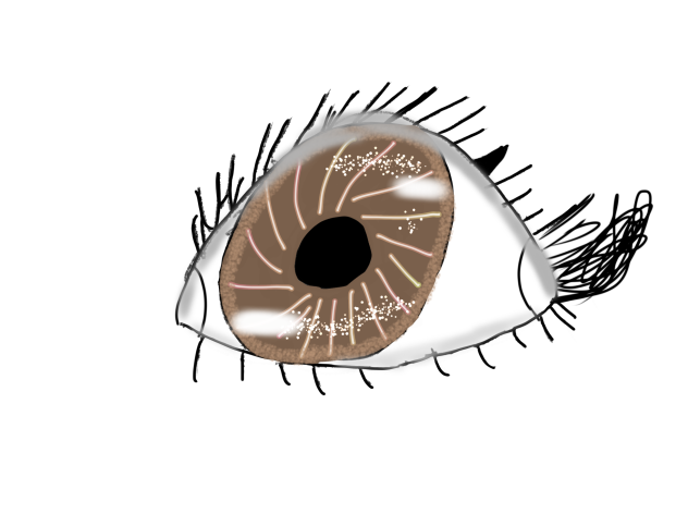 Ono marron - ibisPaint