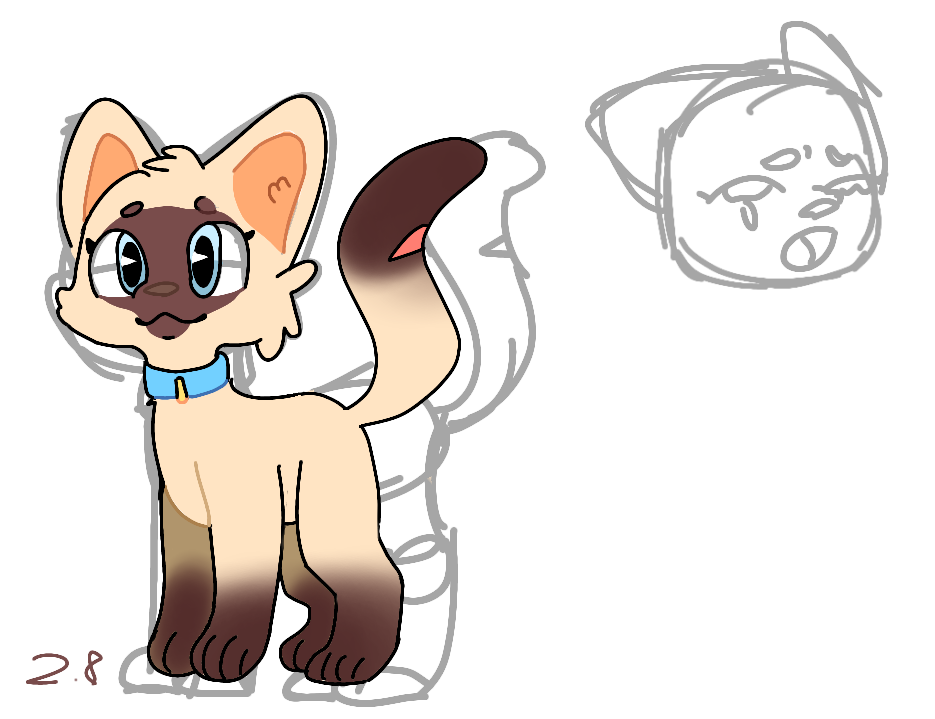 Sophie le chat - ibisPaint