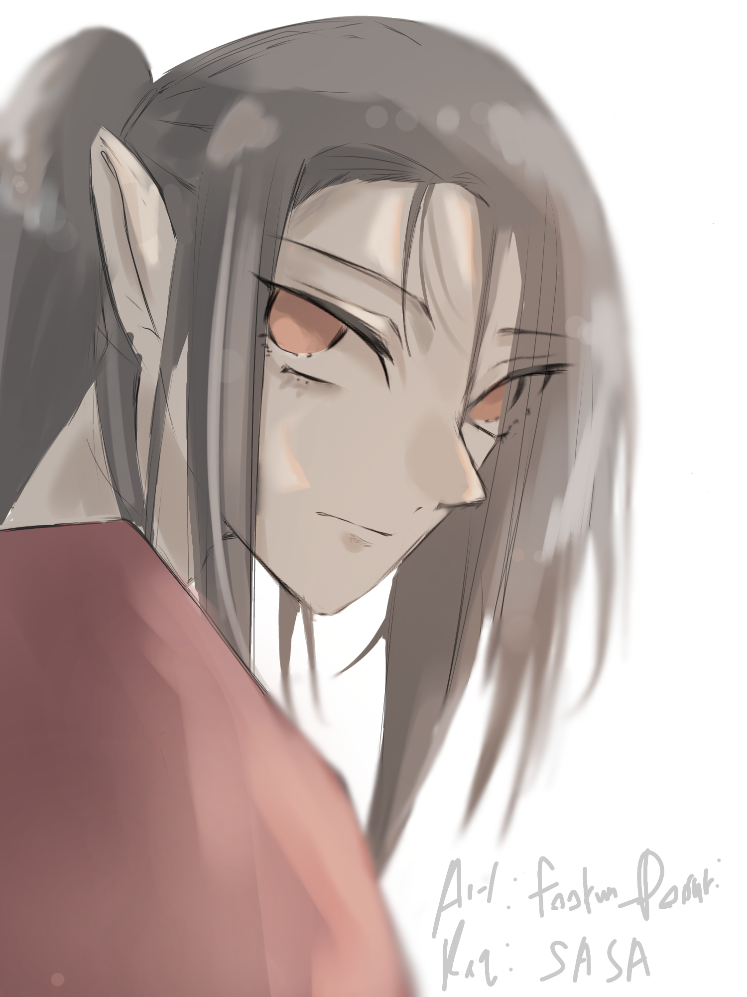 SA SA Request - ibisPaint