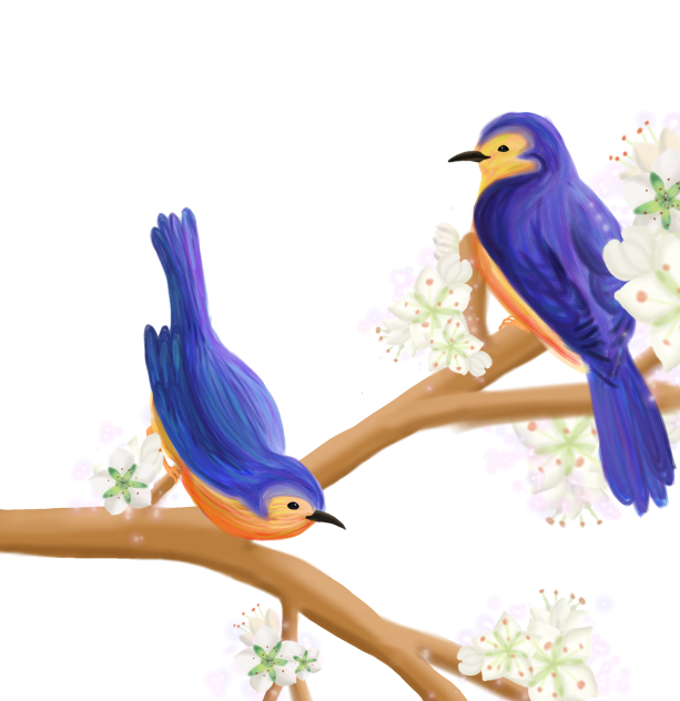 birds - ibisPaint