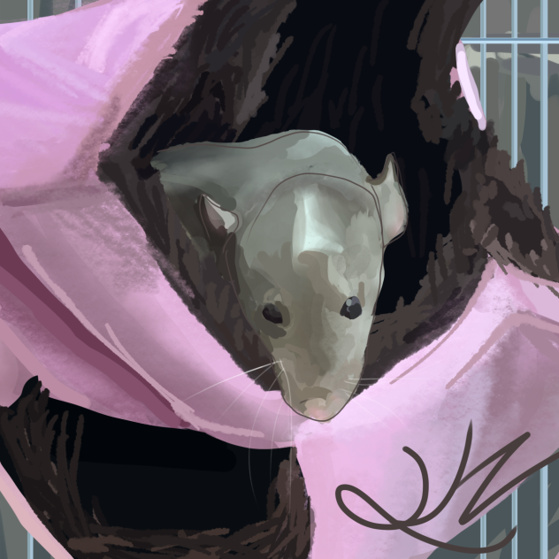 Mina the rat - ibisPaint