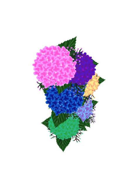 hydrangea - ibisPaint