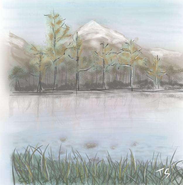 Peace by the shore - ibisPaint