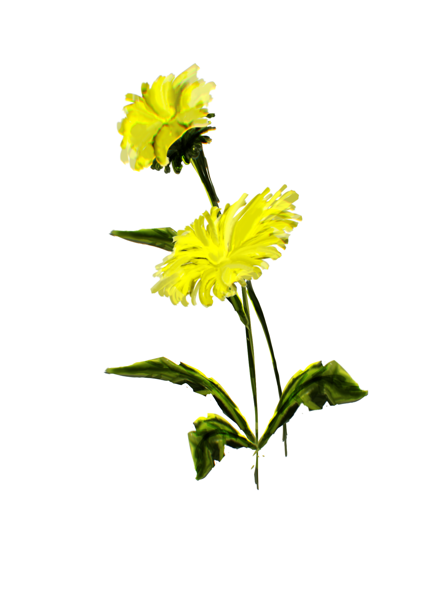 Yellow flower - ibisPaint