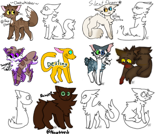 Warriors collab - ibisPaint