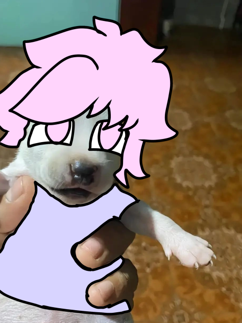 wiwi meme - ibisPaint