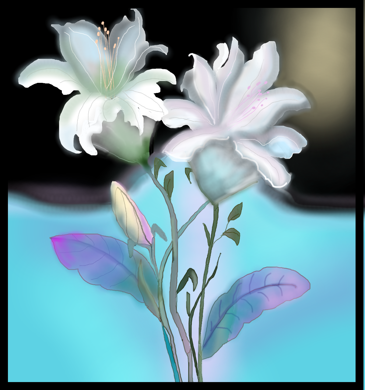 Blooming - ibisPaint