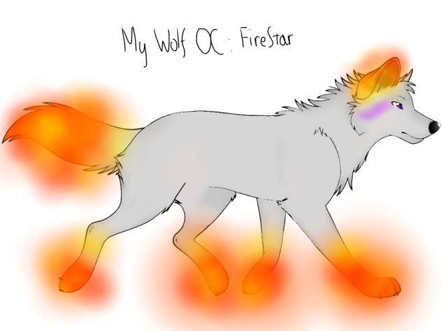 my wolf OC Fire Star - ibisPaint