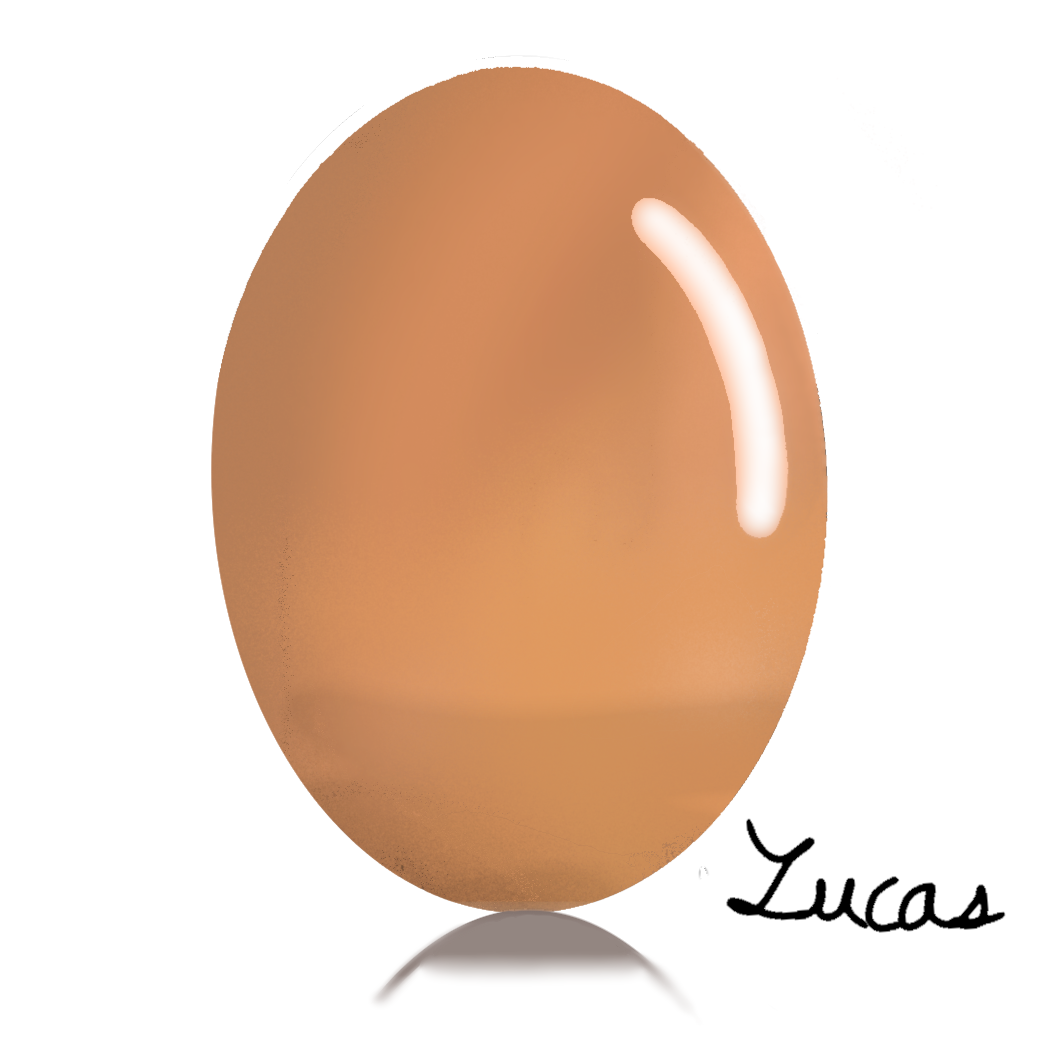 unrealistic egg - ibisPaint