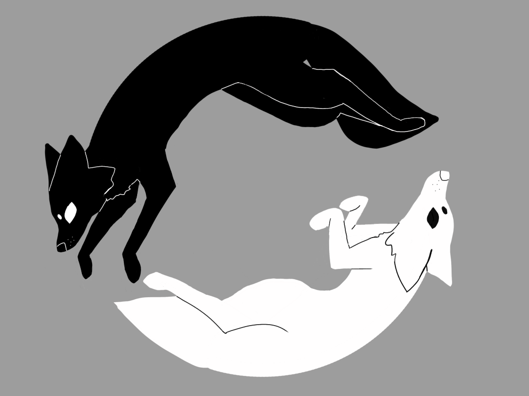 ying yang fox - ibisPaint