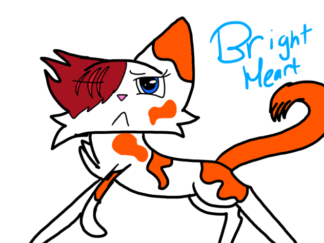 bright heart or lost face - ibisPaint