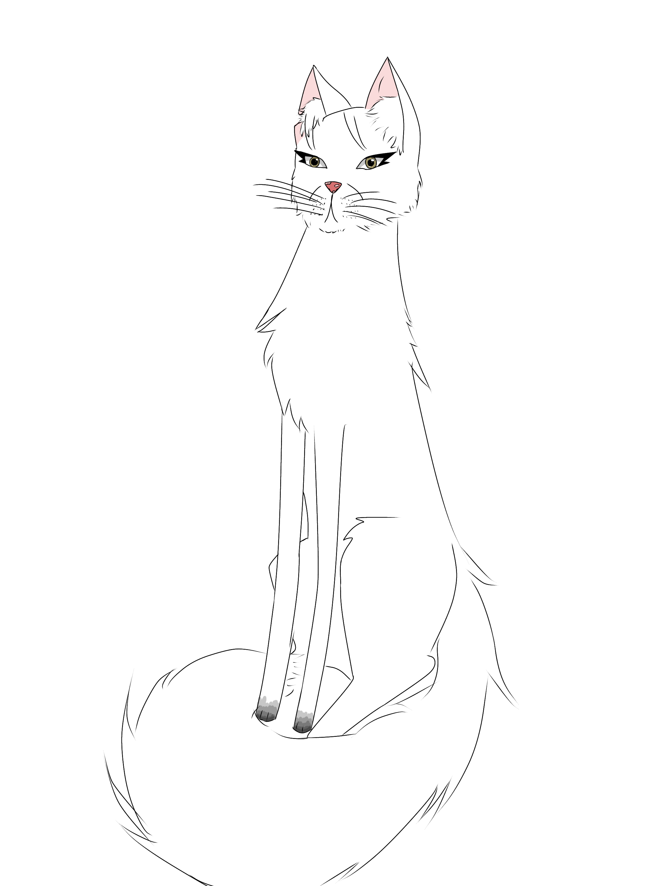 Kat the Cat - ibisPaint