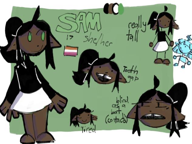 SAM REF - ibisPaint