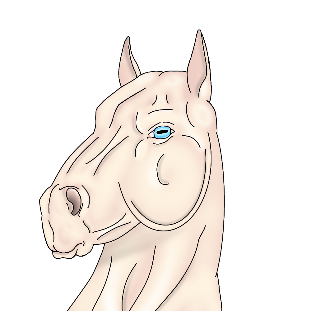 Mister, mister... - ibisPaint