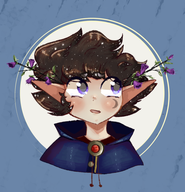 star elf - ibisPaint