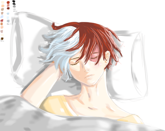 shoto todoroki - ibisPaint
