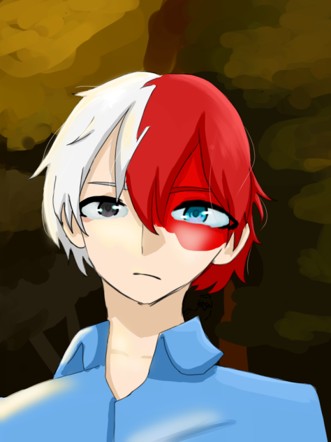 Todoroki - ibisPaint