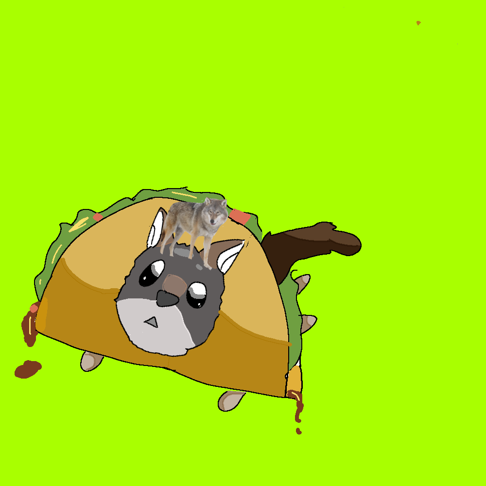 I drew a wolf taco - ibisPaint